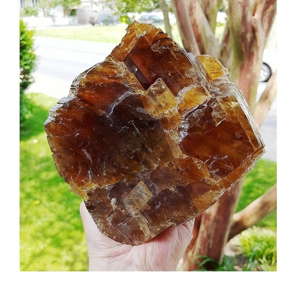 Amber Calcite - Etsy