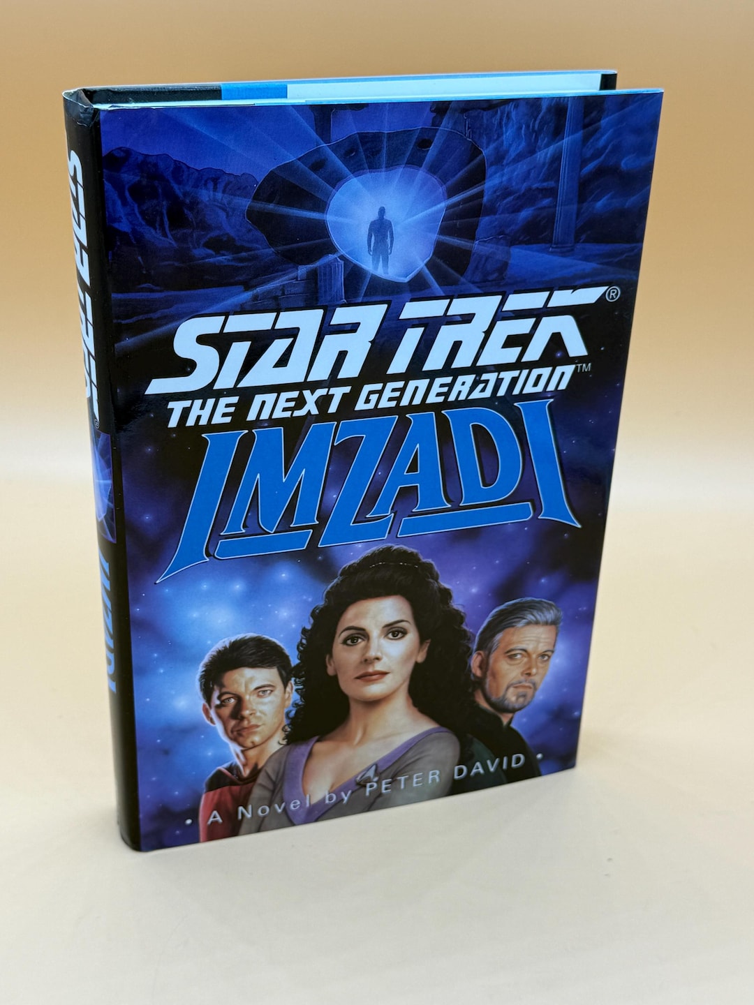 Star Trek the Next Generation Imzadi a Novel by Peter David 1992 Pocket ...