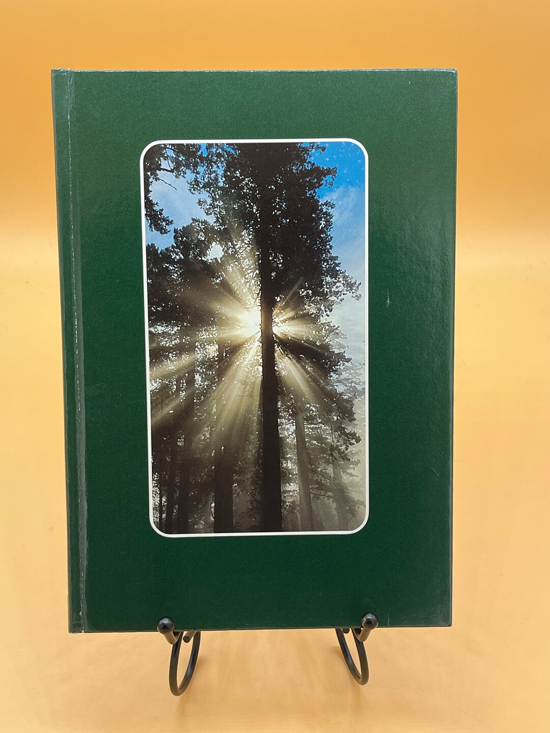 History Books Into the Wilderness 1983 National Geographic Books ...