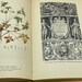 Rare Books British Botanists by John Gilmour 1946 Clarke & Sheryl ...