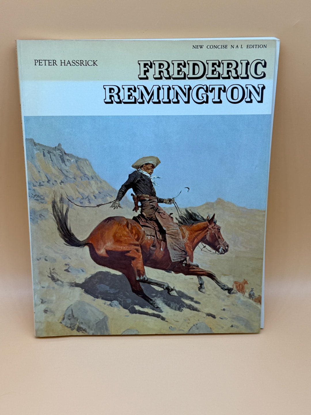 Frederic Remington Paintings Drawings 1975 Abrams Publishing Paperback ...