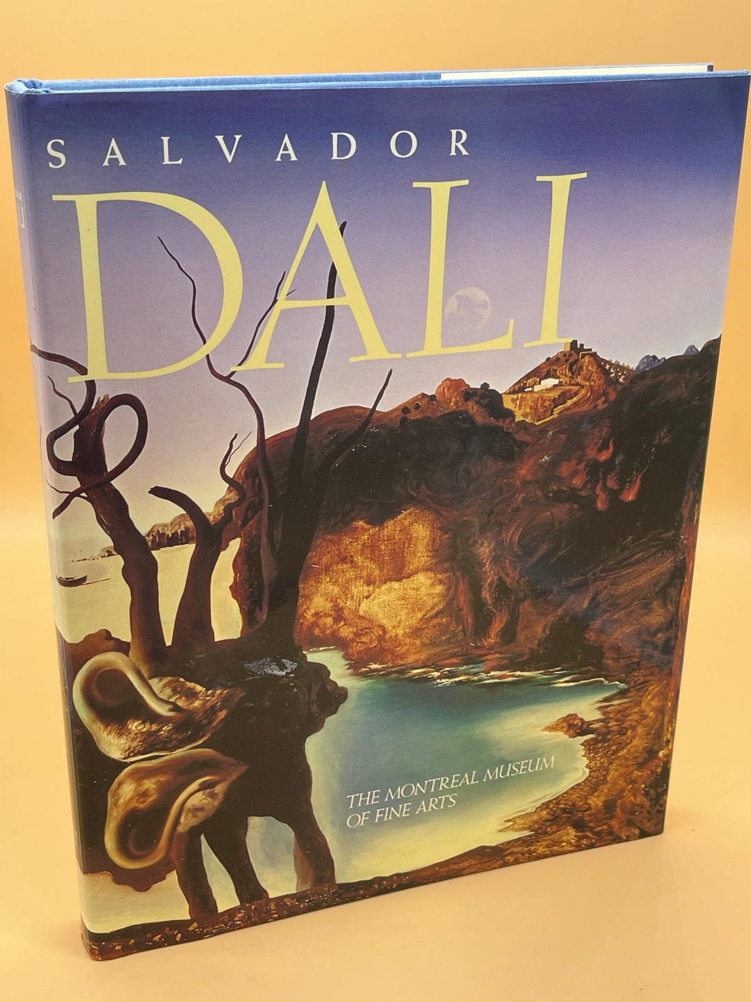 Salvador Dali the Montreal Museum of Fine Arts Hardcover Catalogue Art ...