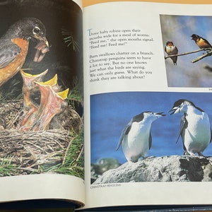 Books for Young Explorers How Animal Talk From National Geographic 1987 ...