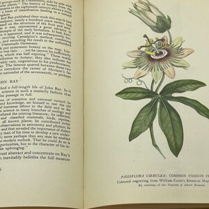 Rare Books British Botanists by John Gilmour 1946 Clarke & Sheryl ...