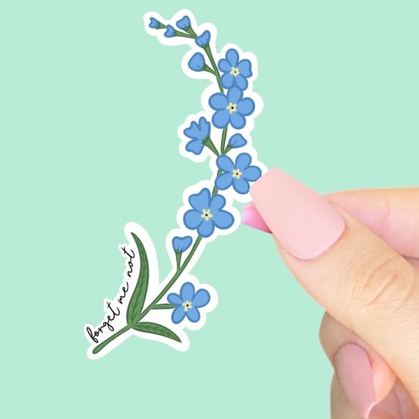 Alaska Forget Me Not - Etsy