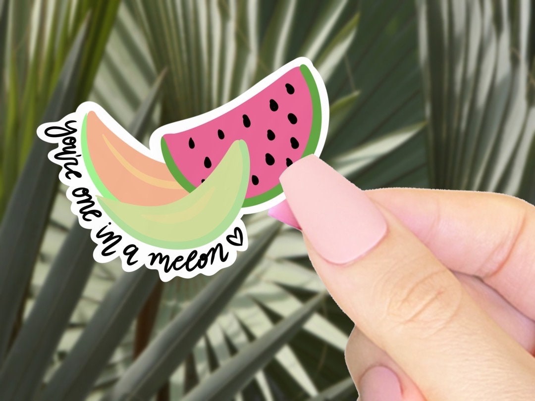 Youre One in a Melon Funny Fruit Fruit Puns Watermelon Cantelope Honey ...