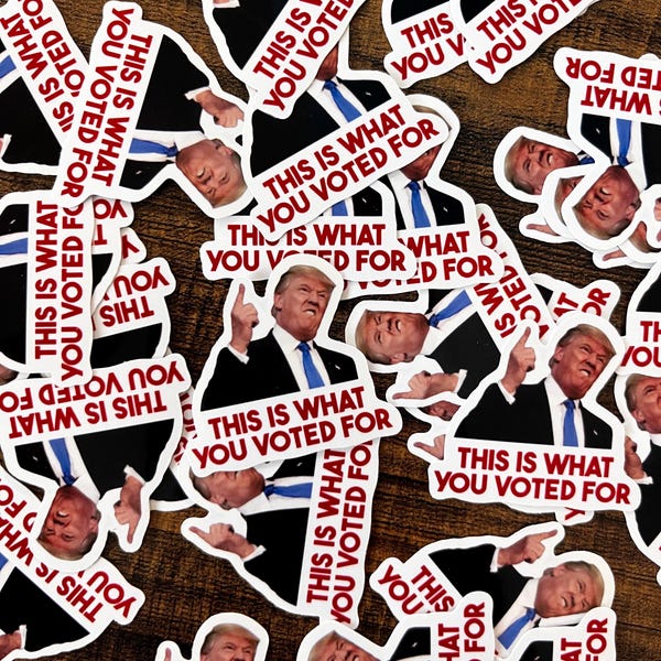 Political Stickers - Etsy