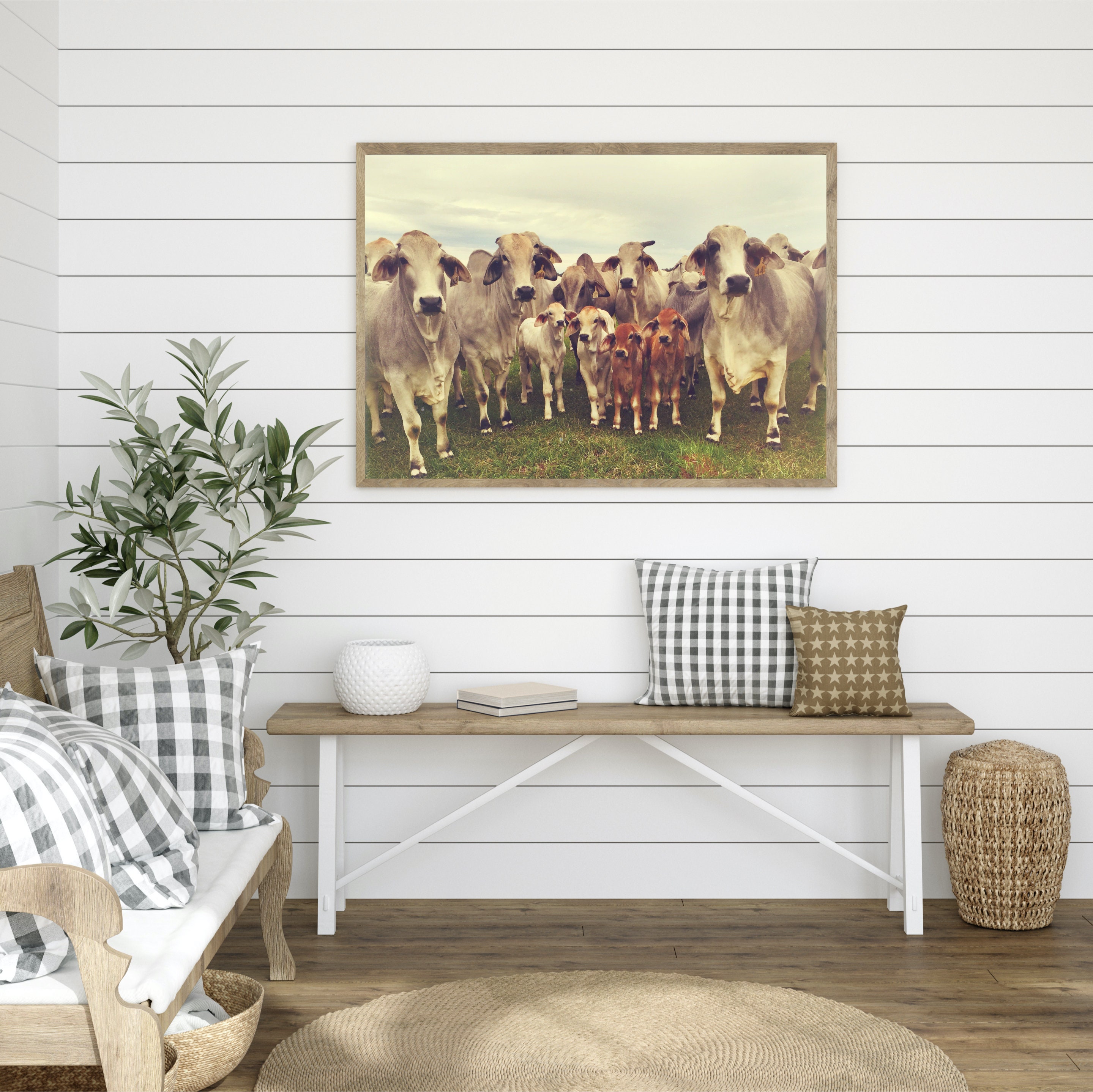 Cow Picture Wall Art Digital Download - Etsy