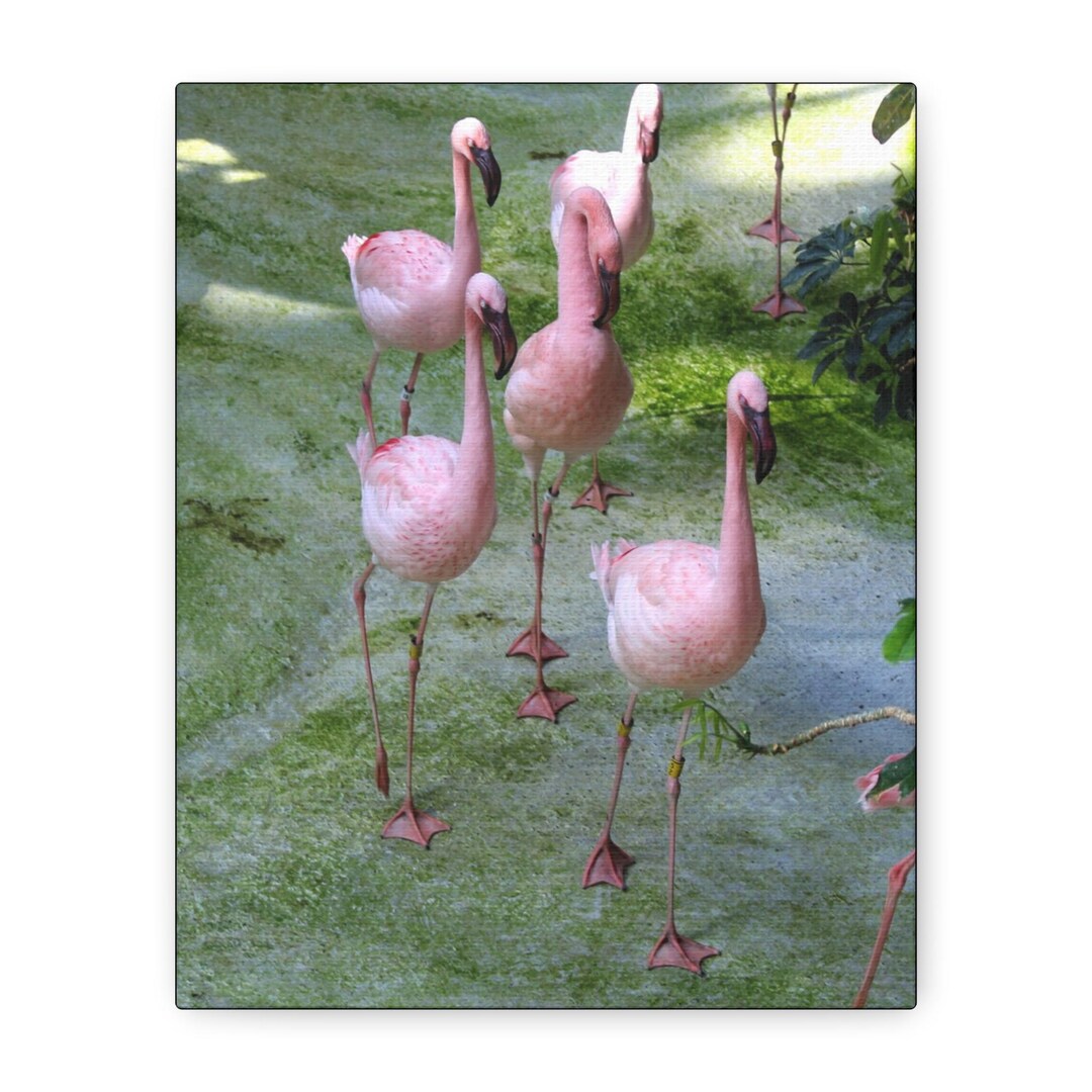 Pink Flamingo Flock Photo Canvas Print: Tropical Wall Art Decor - Etsy