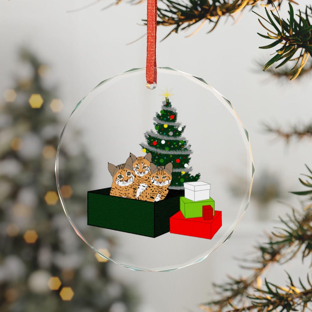 Crystal Glass Ornaments: Box of Christmas Bobcat Kittens - Etsy