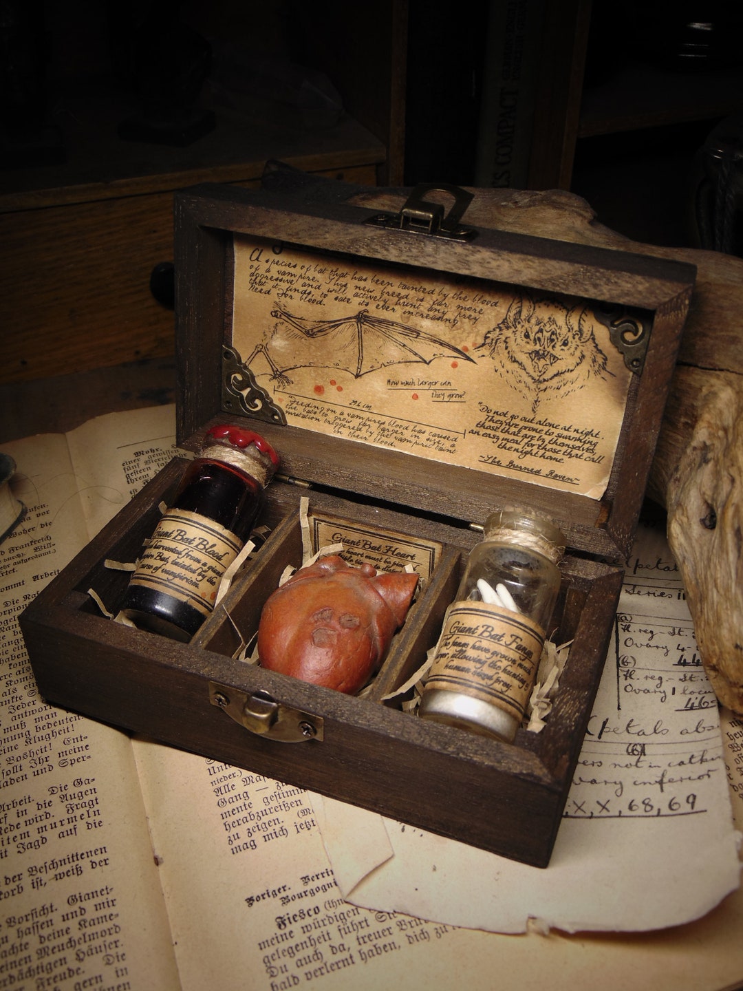 Giant Vampire Bat Specimen Curio Box HANDMADE Props Fantasy Creature ...