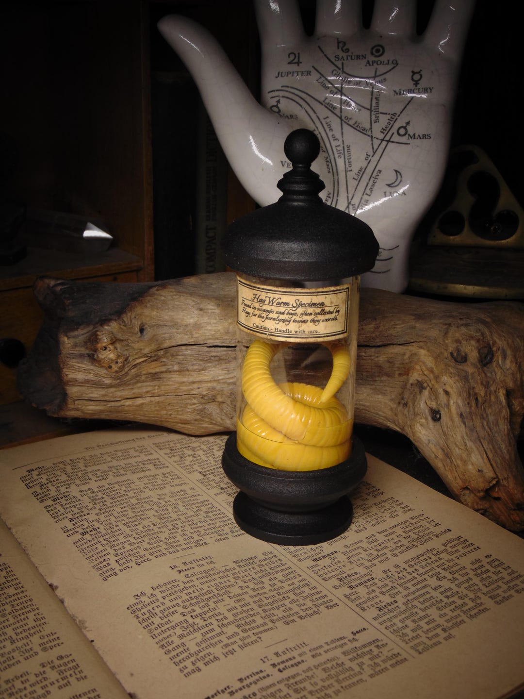 Hag Worm Specimen Prop HANDMADE Macabre/occult/folklore/supernatural ...