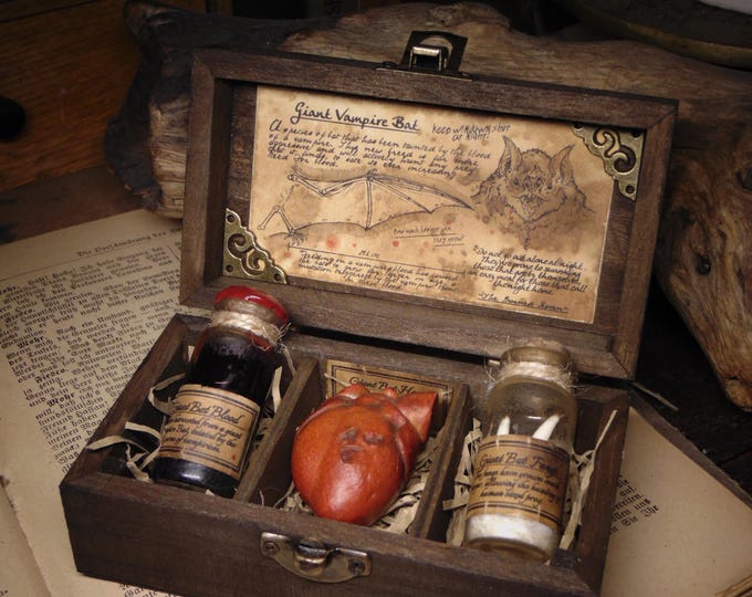 Giant Vampire Bat Specimen Curio Box HANDMADE Props Fantasy Creature ...