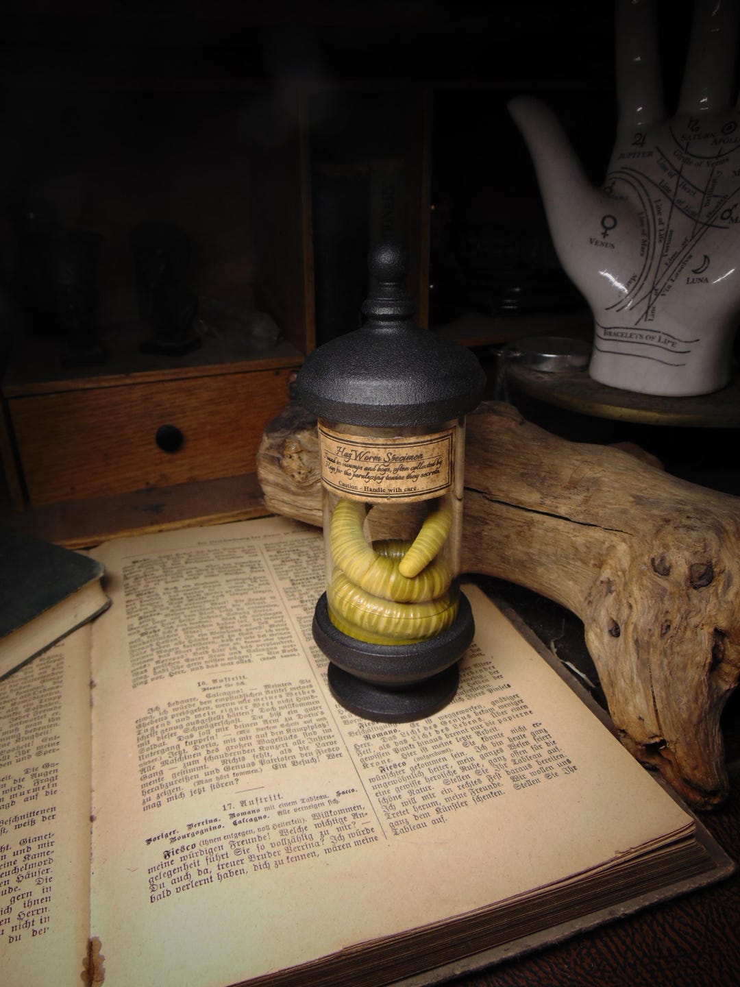 Hag Worm Specimen Prop HANDMADE Macabre/occult/folklore/supernatural ...