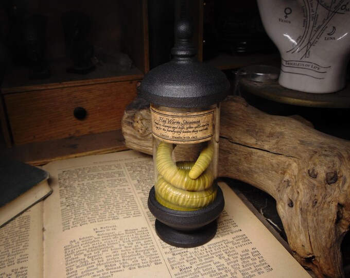 Hag Worm Specimen Prop HANDMADE Macabre/occult/folklore/supernatural ...