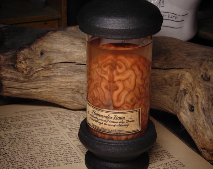 Homunculus Brain Tall Specimen Prop HANDMADE Macabre/occult/folklore ...