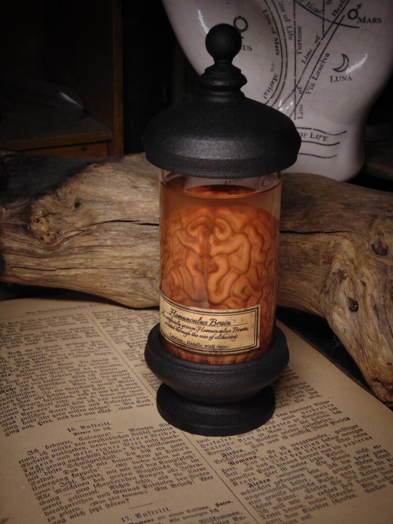 Homunculus Brain Tall Specimen Prop HANDMADE Macabre/occult/folklore ...