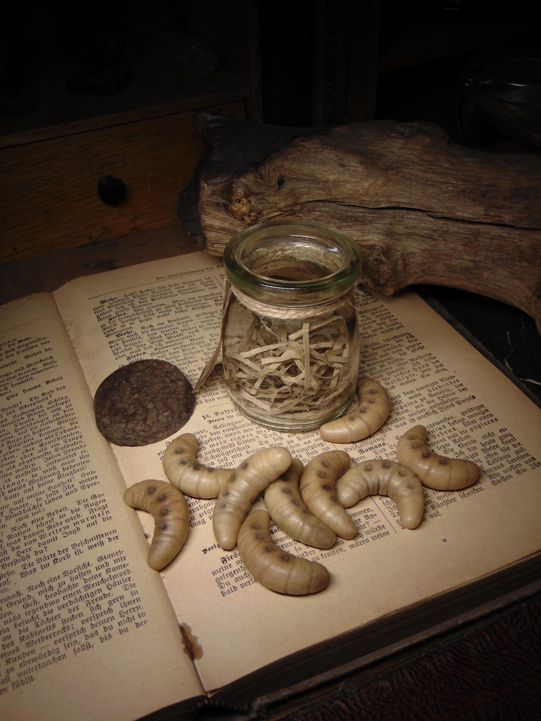 Glowing Ghost Grubs Specimen Prop HANDMADE Macabre/occult/folklore ...