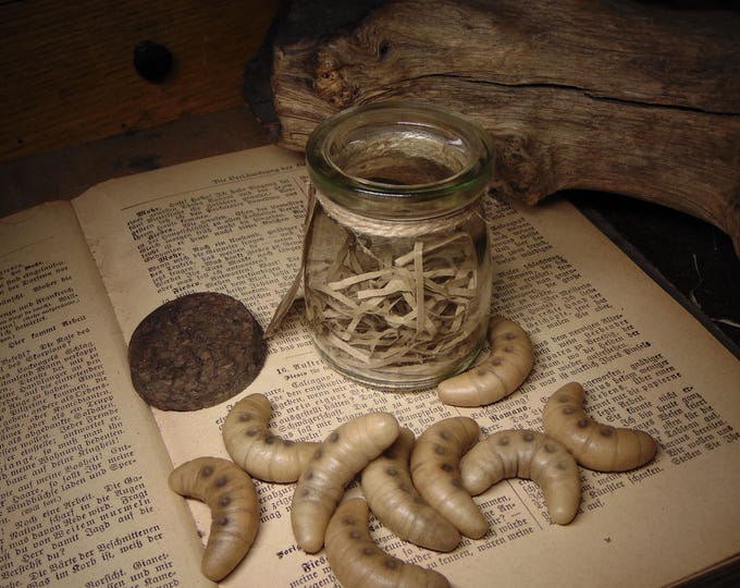 Glowing Ghost Grubs Specimen Prop HANDMADE Macabre/occult/folklore ...