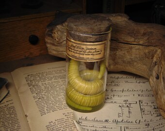 Ghost Trap Urn Props HANDMADE Macabre/occult/folklore/supernatural/gift ...