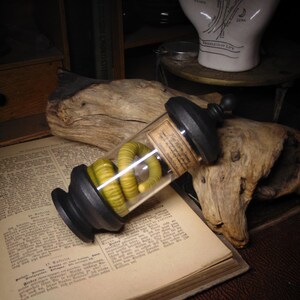 Hag Worm Specimen Prop HANDMADE Macabre/occult/folklore/supernatural ...