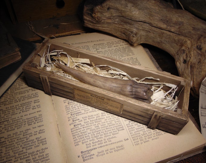 13cm Basilisk Fang Specimen Crate handmade - Etsy