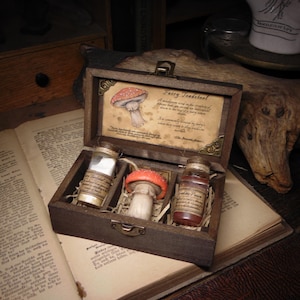 Fairy Toadstool Specimen Curio Box HANDMADE Props Fantasy Creature ...