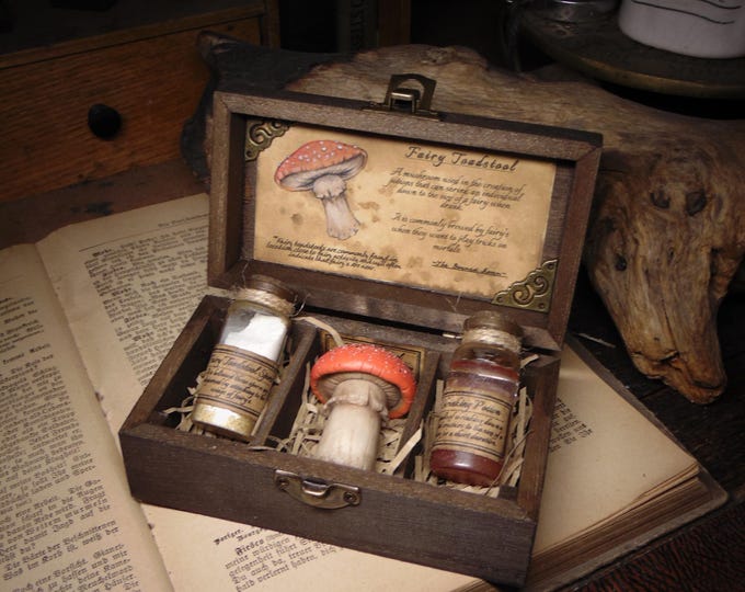 Fairy Toadstool Specimen Curio Box HANDMADE Props Fantasy Creature ...