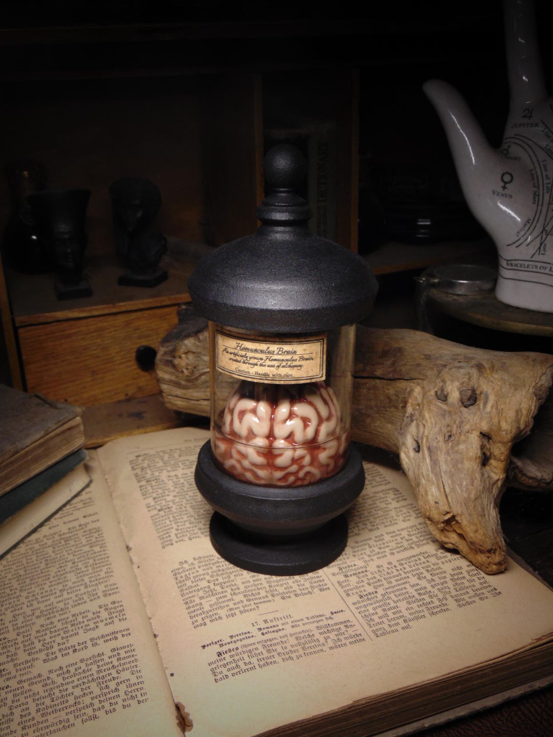 Homunculus Brain Large Specimen Prop HANDMADE Macabre/occult/folklore ...