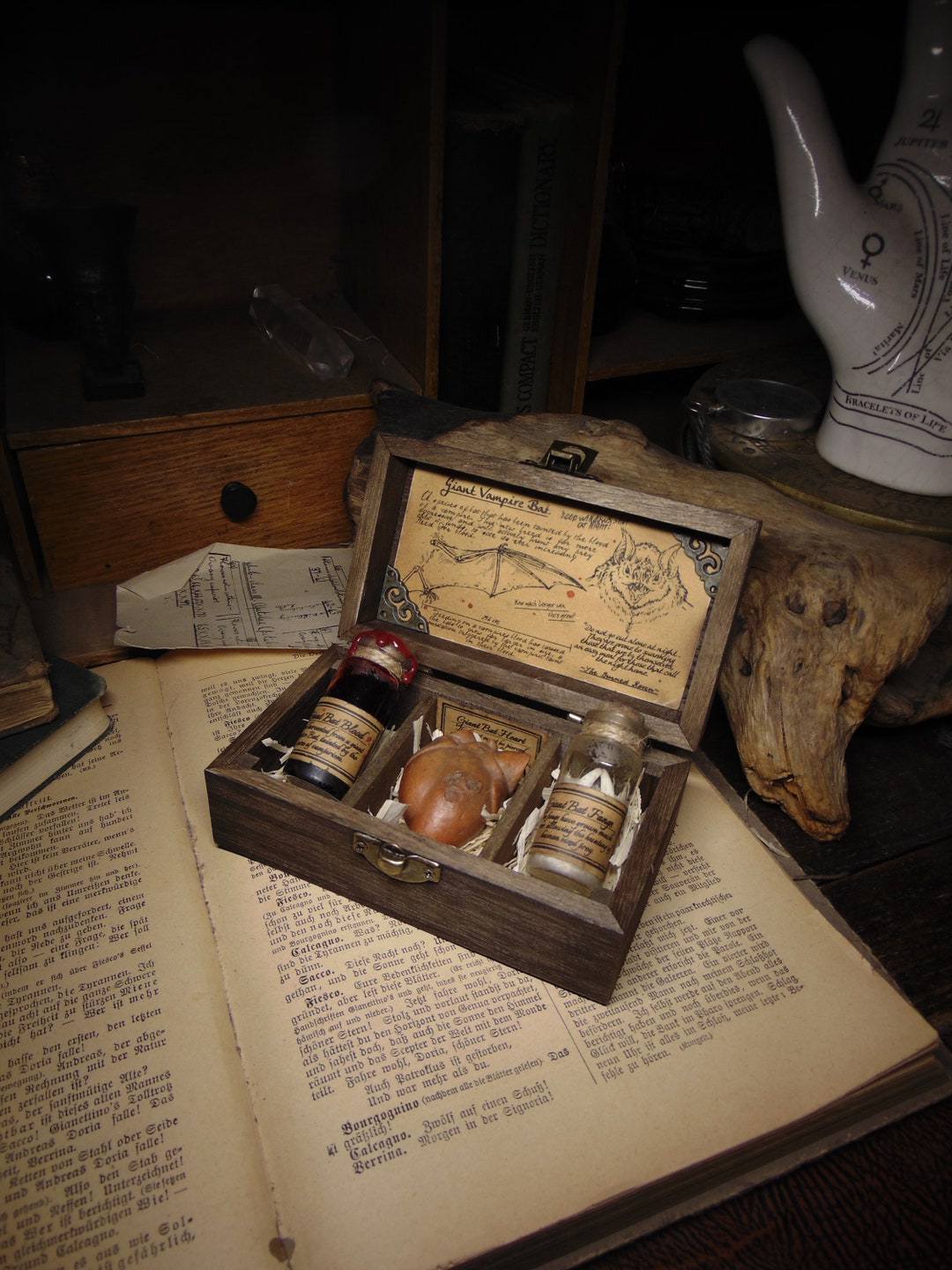 Giant Vampire Bat Specimen Curio Box HANDMADE Props Fantasy Creature ...