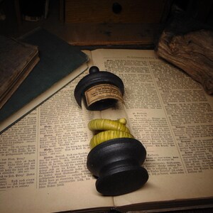 Hag Worm Specimen Prop HANDMADE Macabre/occult/folklore/supernatural ...