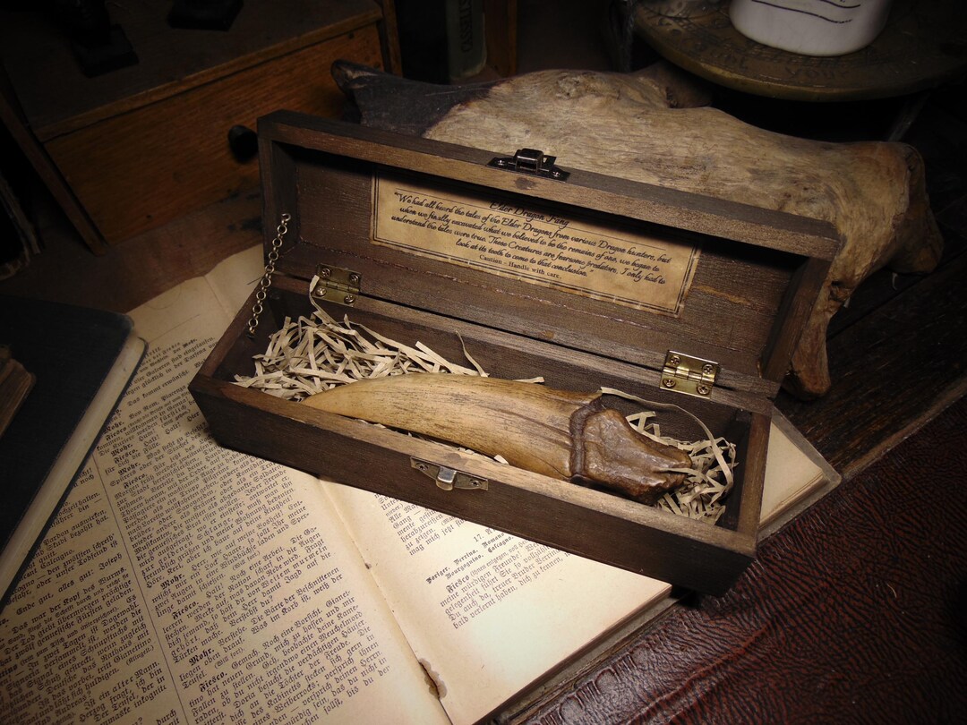 Elder Dragon Fang "handmade" Fantasy/folklore/fairy Tale Gift Ideas ...