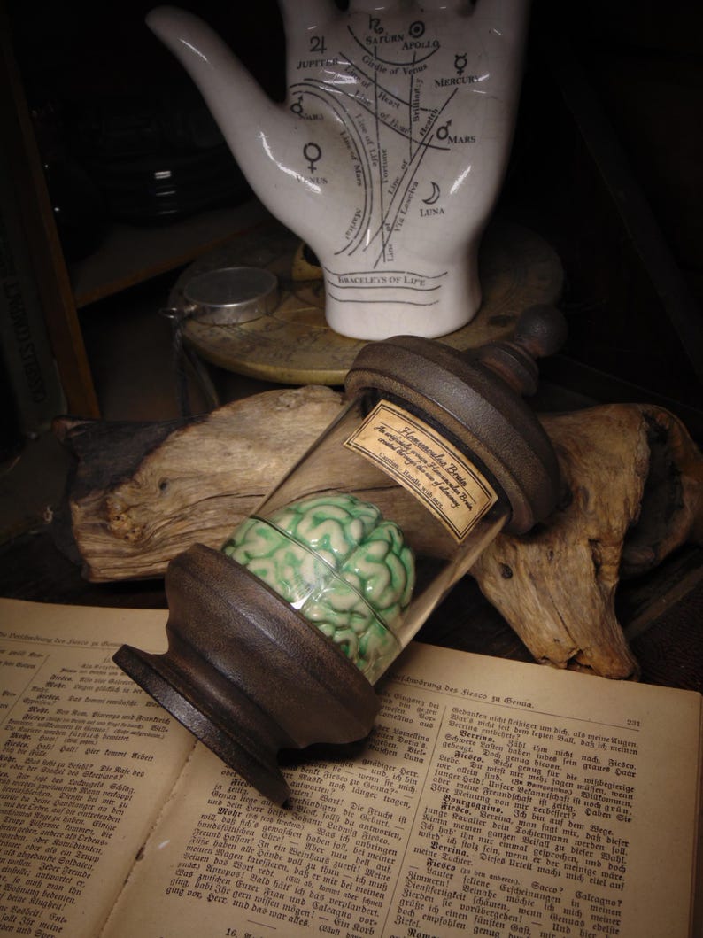 Homunculus Brain Large Specimen Prop HANDMADE Macabre/occult/folklore ...