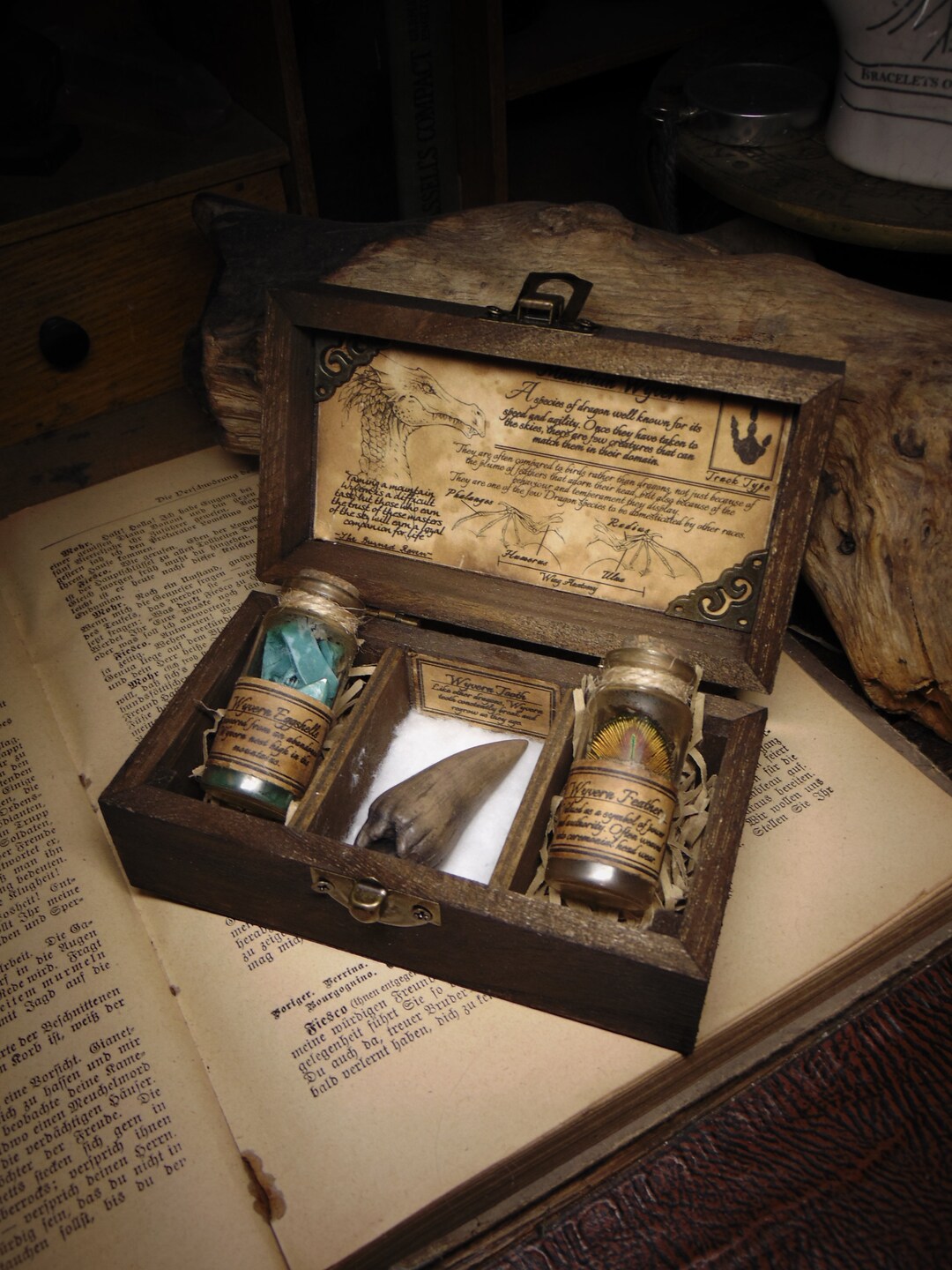 Wyvern Specimen Curio Box HANDMADE Props Fantasy Creature/mythology ...