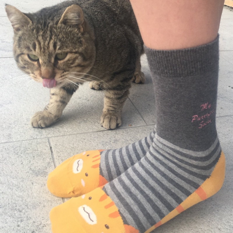 Cat Socks for Women - Etsy