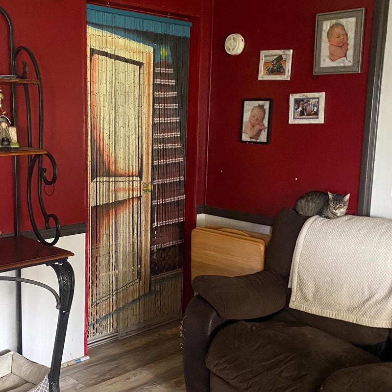 Not Like Curtain - Etsy