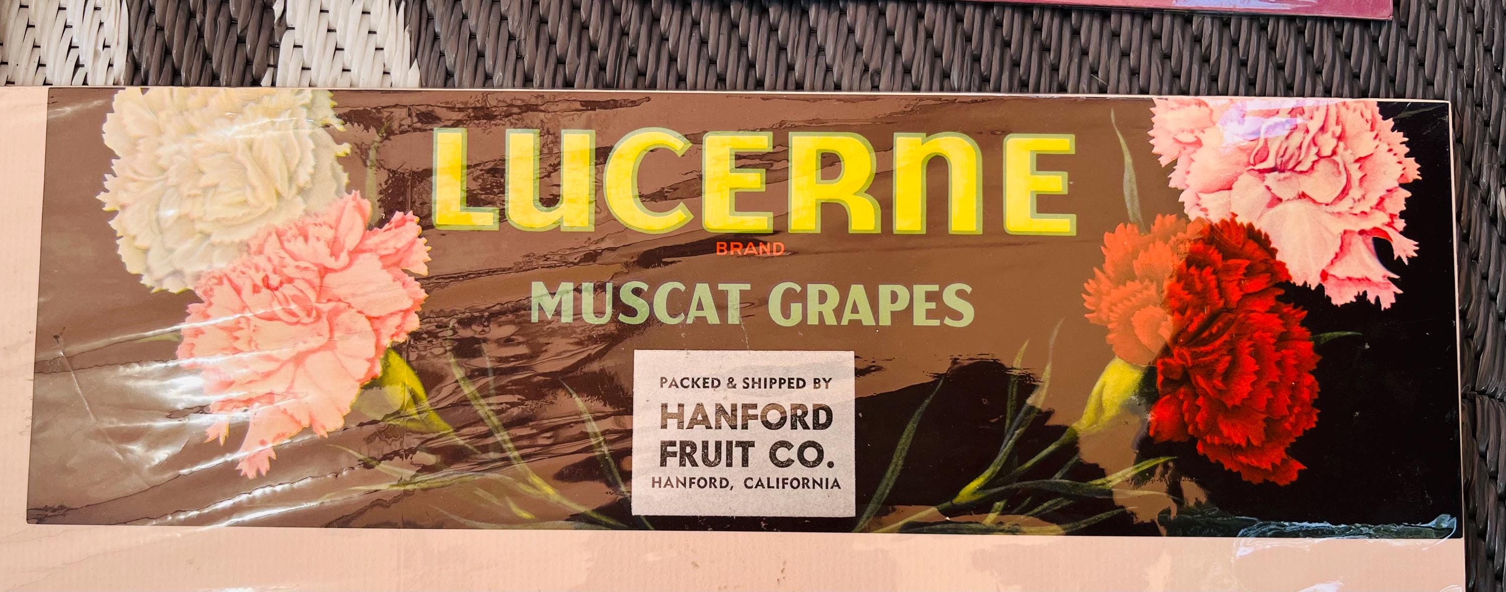 Authentic Vintage Grape Crate Labels - Etsy