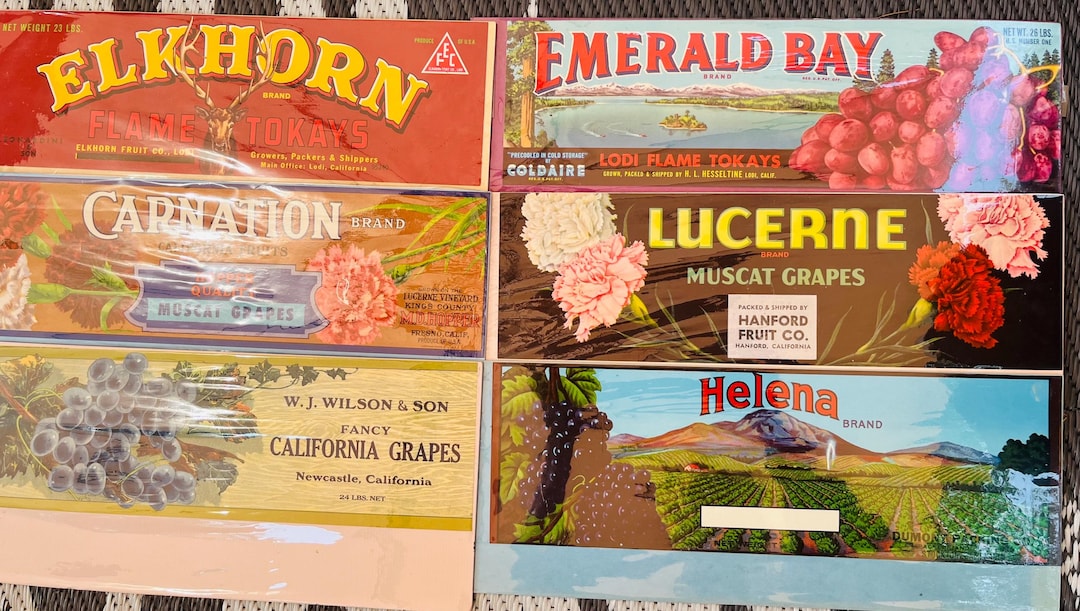 Authentic Vintage Grape Crate Labels - Etsy