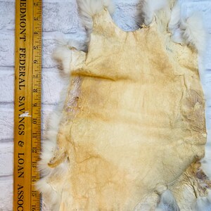 White Vintage Rabbit Fur Including Ears and Feet - Etsy