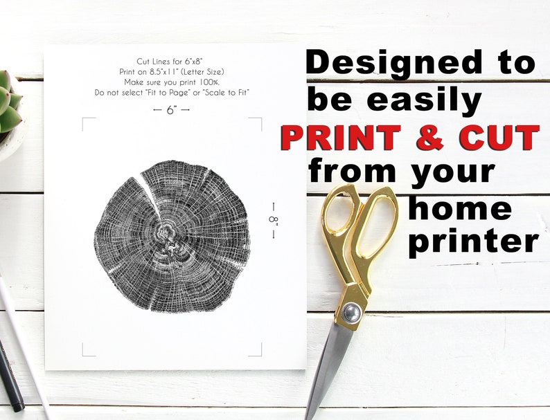 Set of Three Prints Set of 3 Prints Set Tree Prints Tree - Etsy Canada