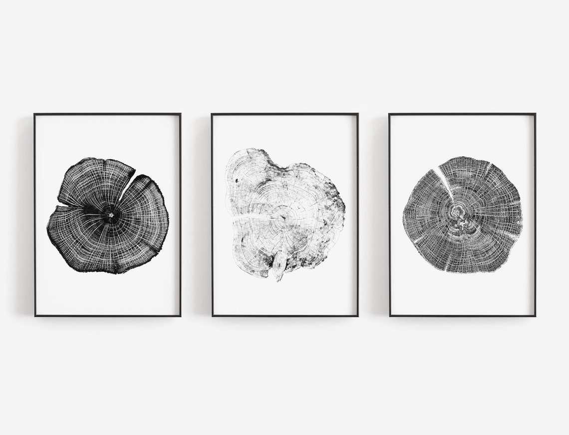 Set of Three Prints Set of 3 Prints Set Tree Prints Tree | Etsy Canada