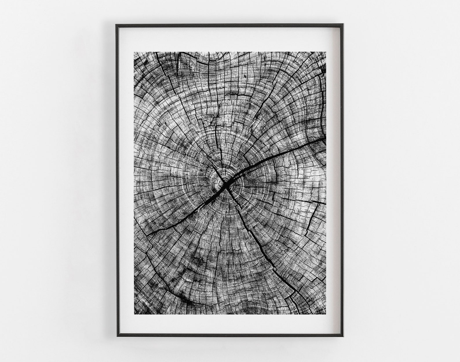 Tree Stump Print Tree Ring Print Tree Ring Prints Black and | Etsy