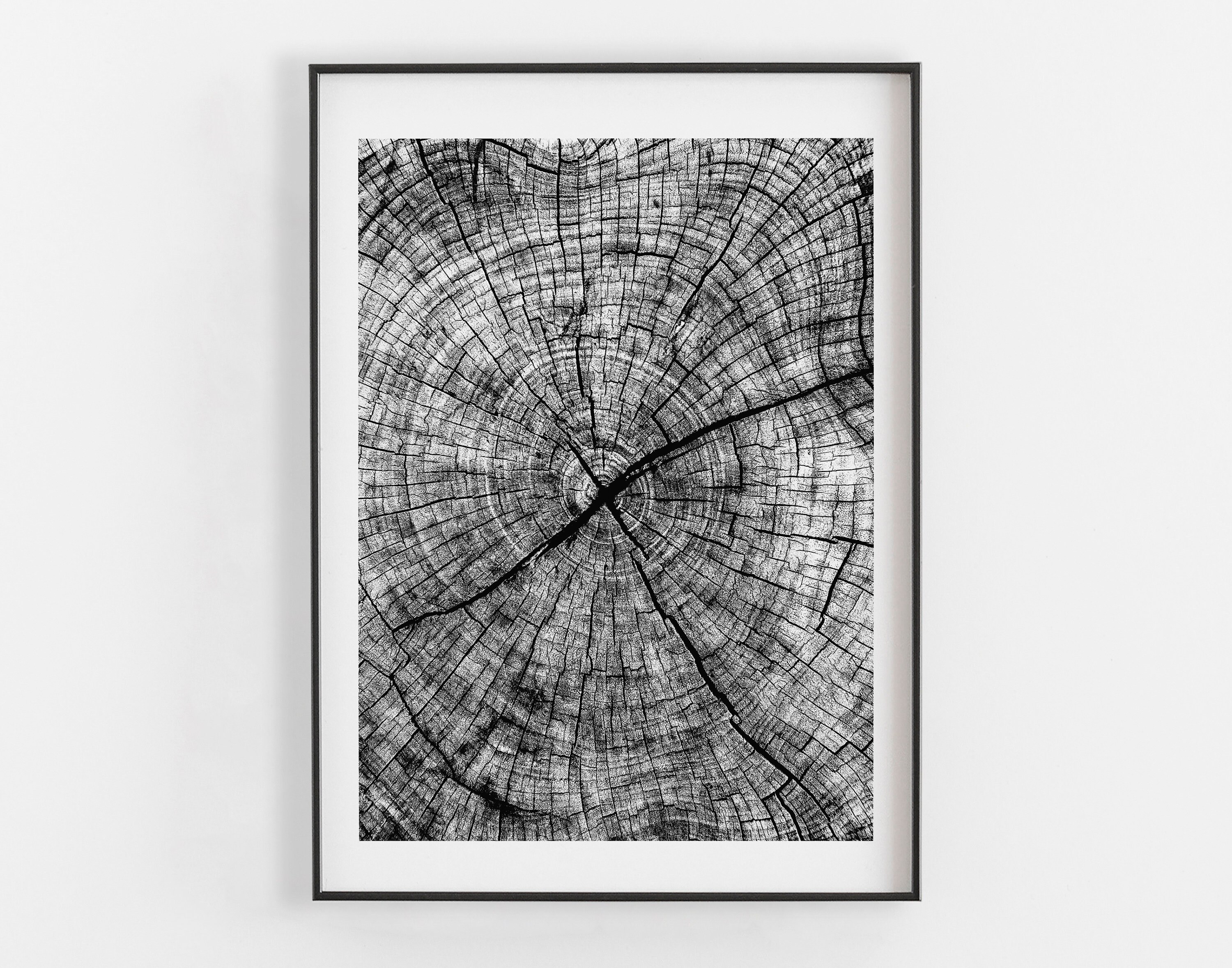 Tree Stump Print Tree Ring Print Tree Ring Prints Black and - Etsy