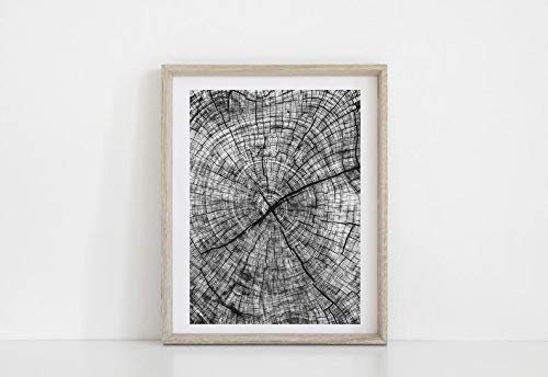 Tree Stump Print Tree Ring Print Tree Ring Prints Black and - Etsy