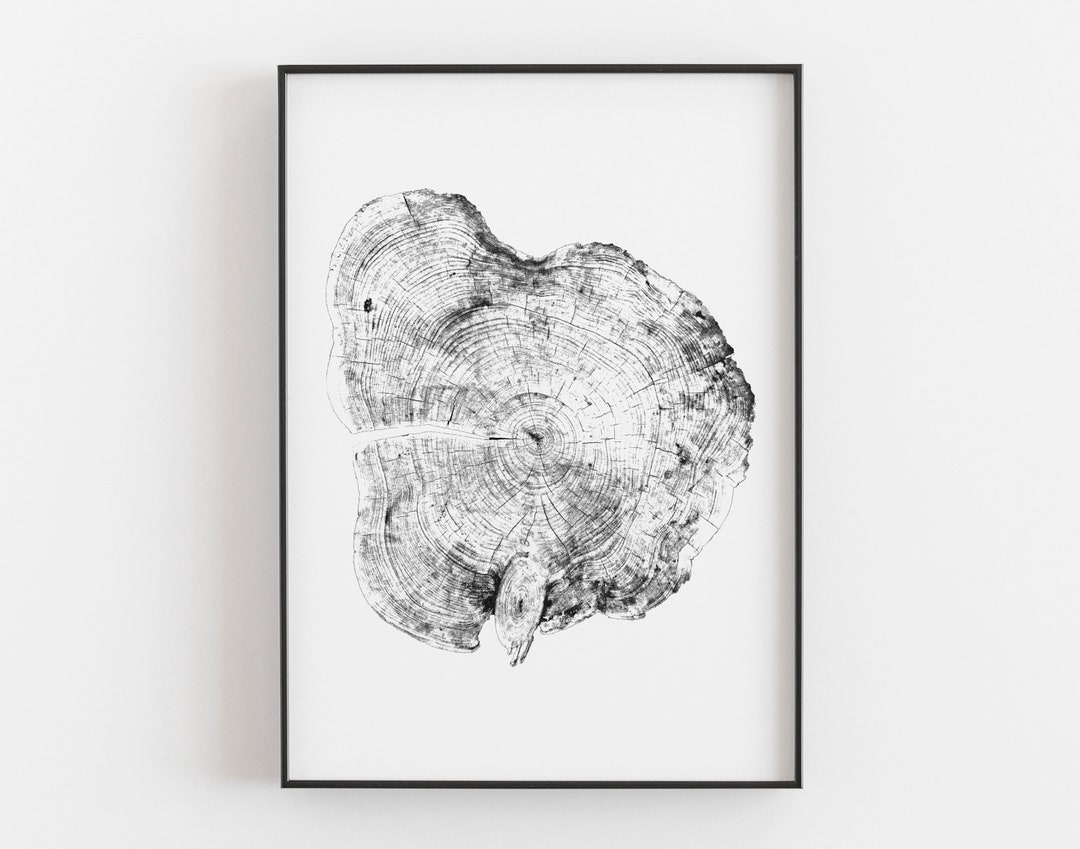 Tree Ring Art, Tree Ring Prints, Tree Print, Tree Stump Print, Wood Art ...