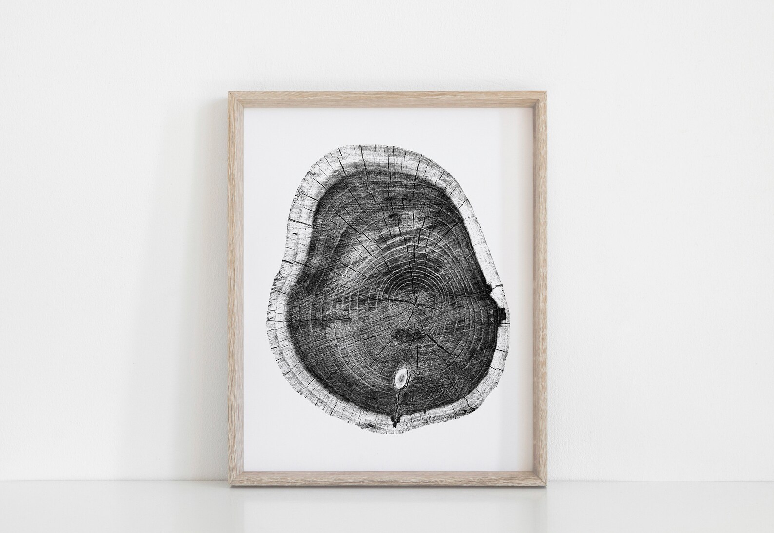 Tree Ring Prints Tree Ring Photo Tree Ring Black and White - Etsy