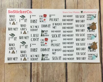 Vulgar sticker | Etsy