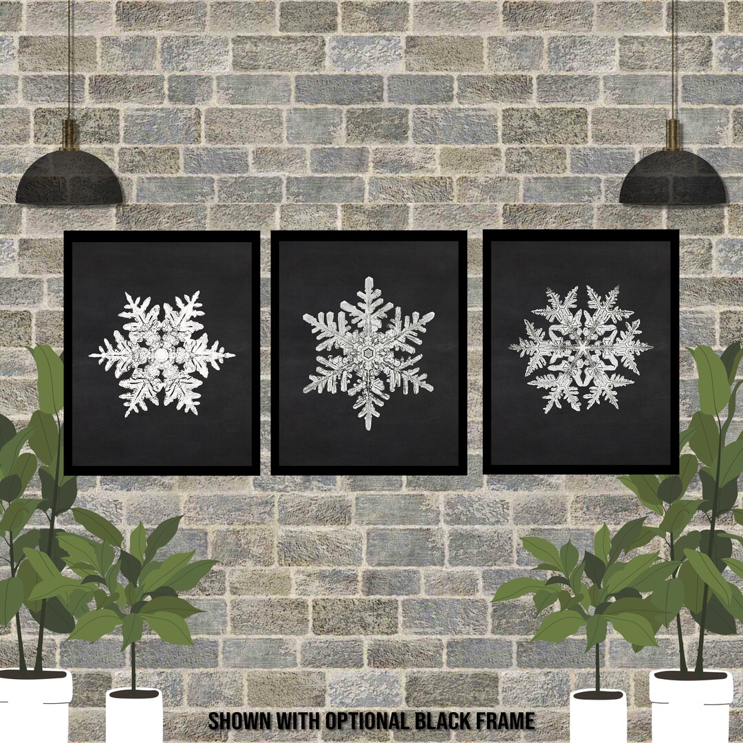 Set of 3 Snowflake Prints Snowflake Drawings Winter Wall Decor ...