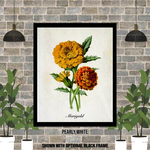 Marigold Print - Etsy