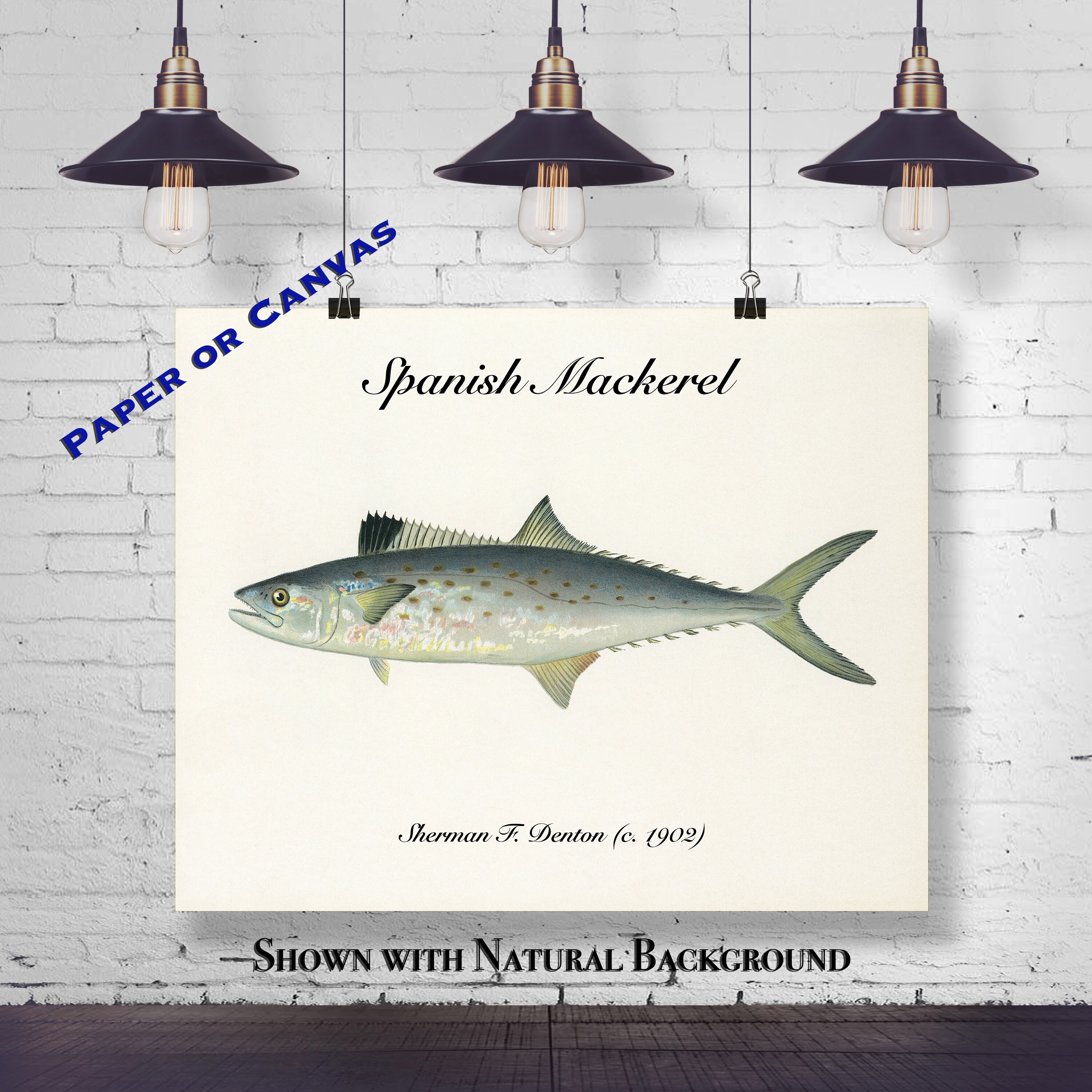 Art & Collectibles Giclée Prints Natural History Print Fisherman Gift ...